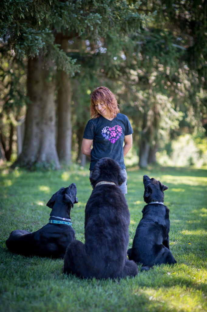 Donna Gleason - Cooperative Paws