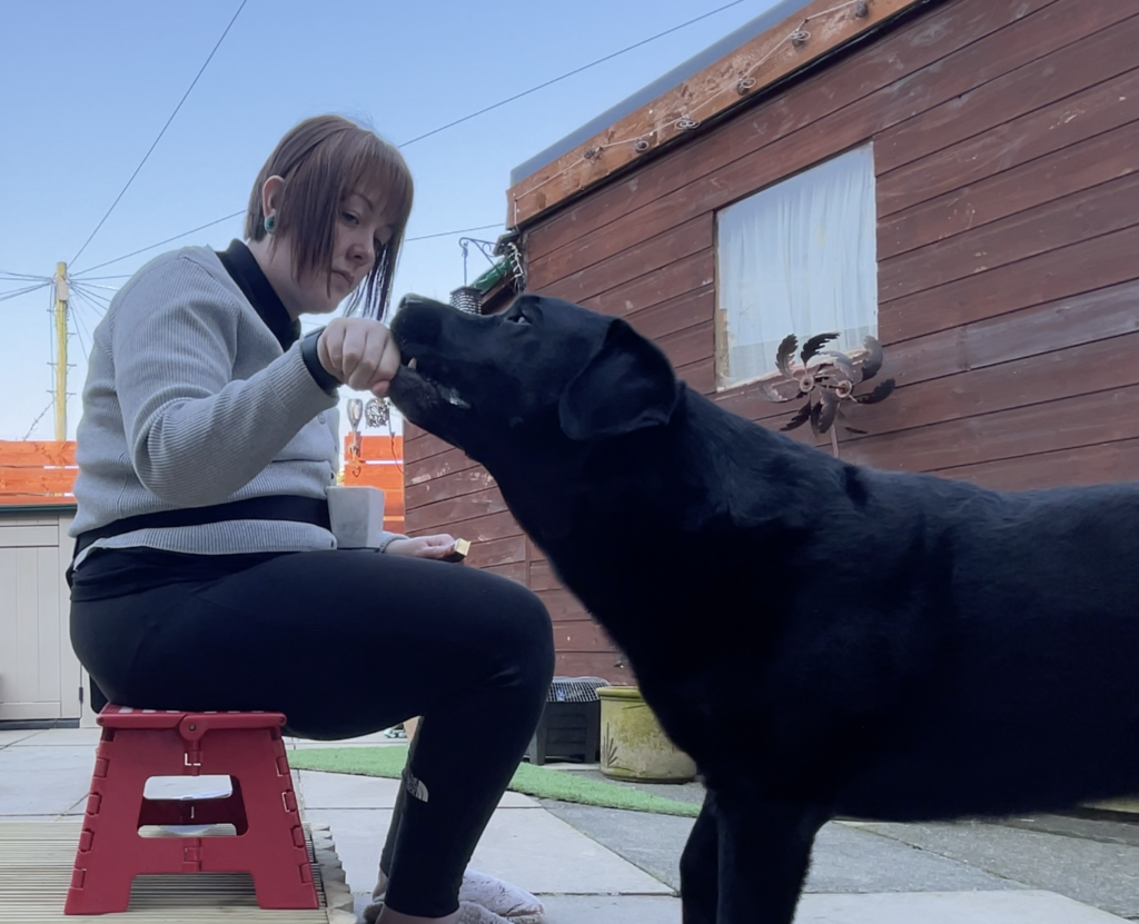 Heather Dunn - Cooperative Paws