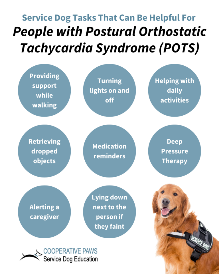 Service Dogs for Postural Orthostatic Tachycardia Syndrome - Online ...
